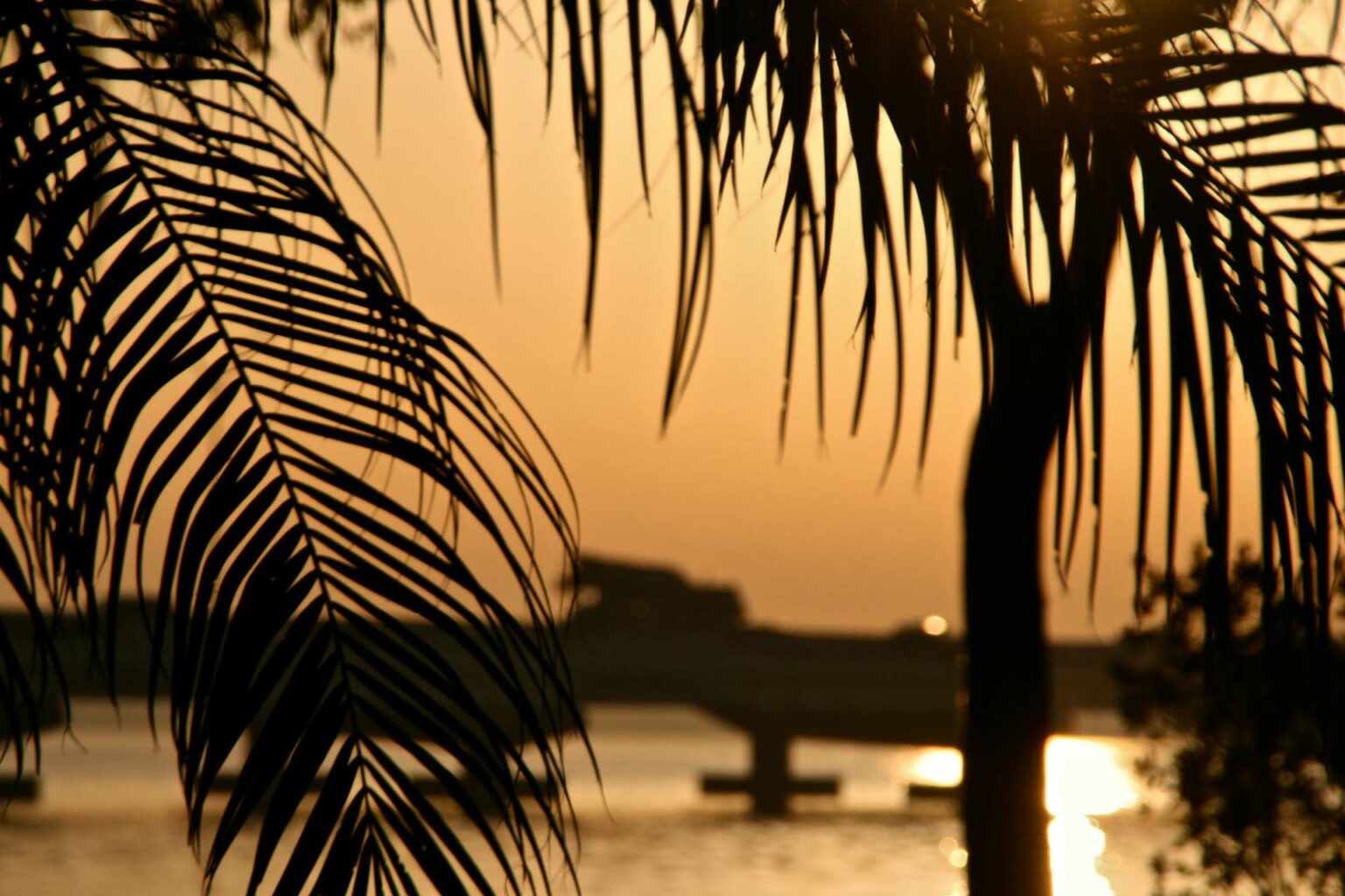 What City Has the Best Weather in Florida?