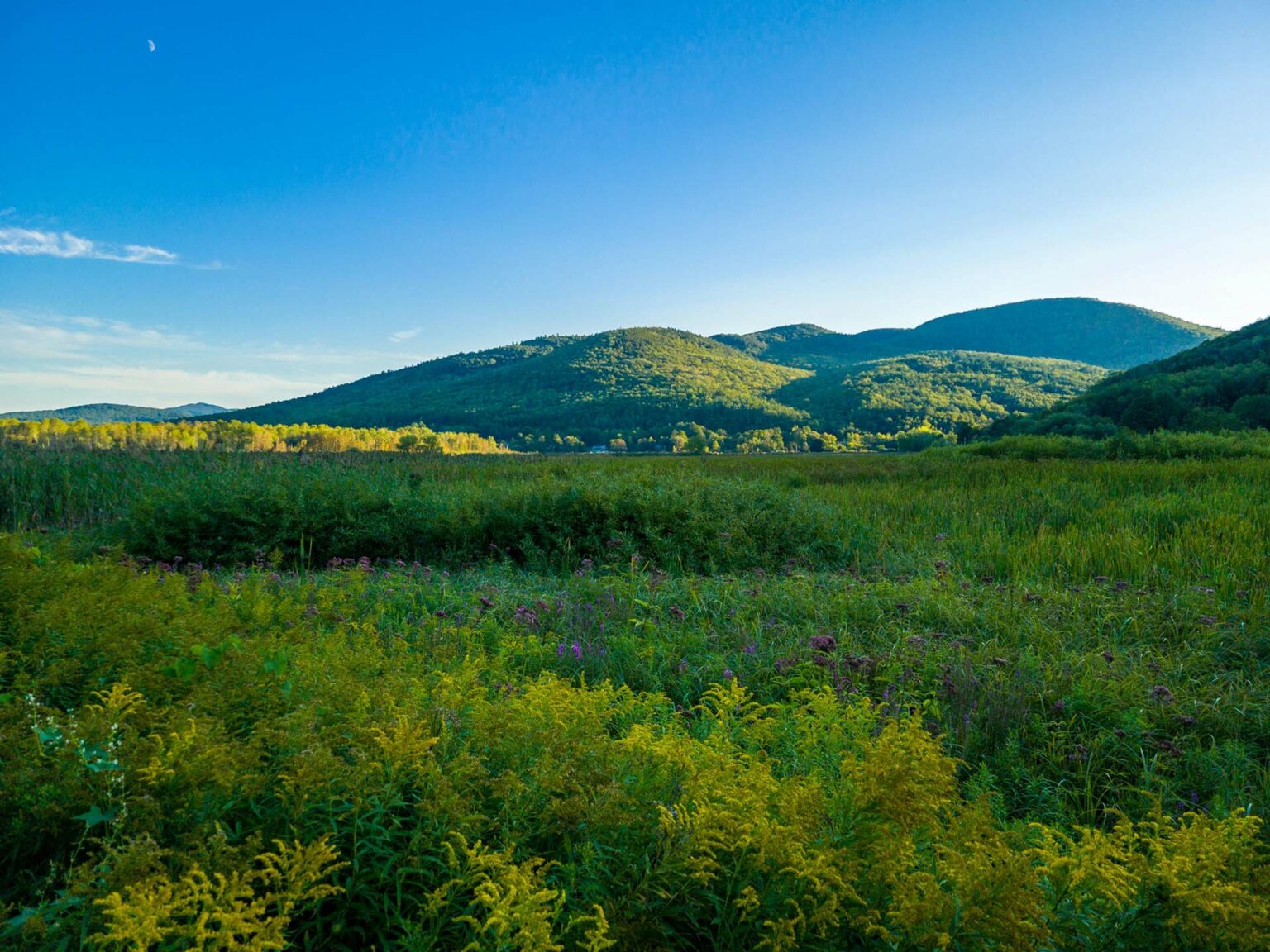 US States With Mild Summers