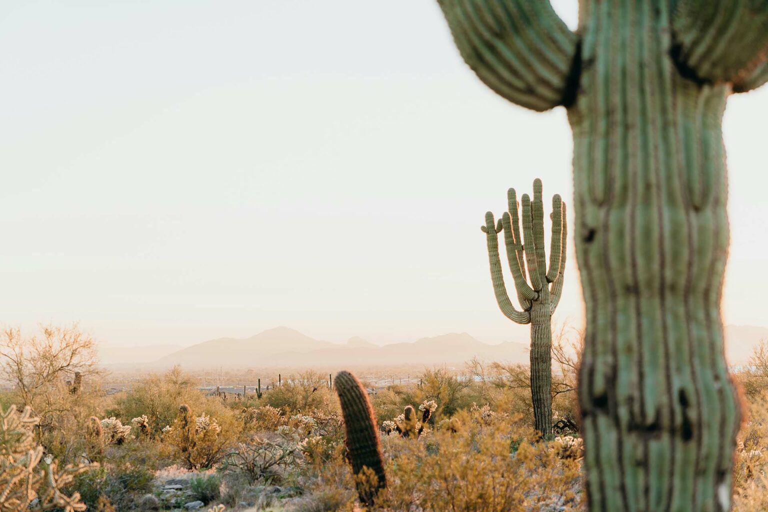 Is Arizona Hotter Than Florida?