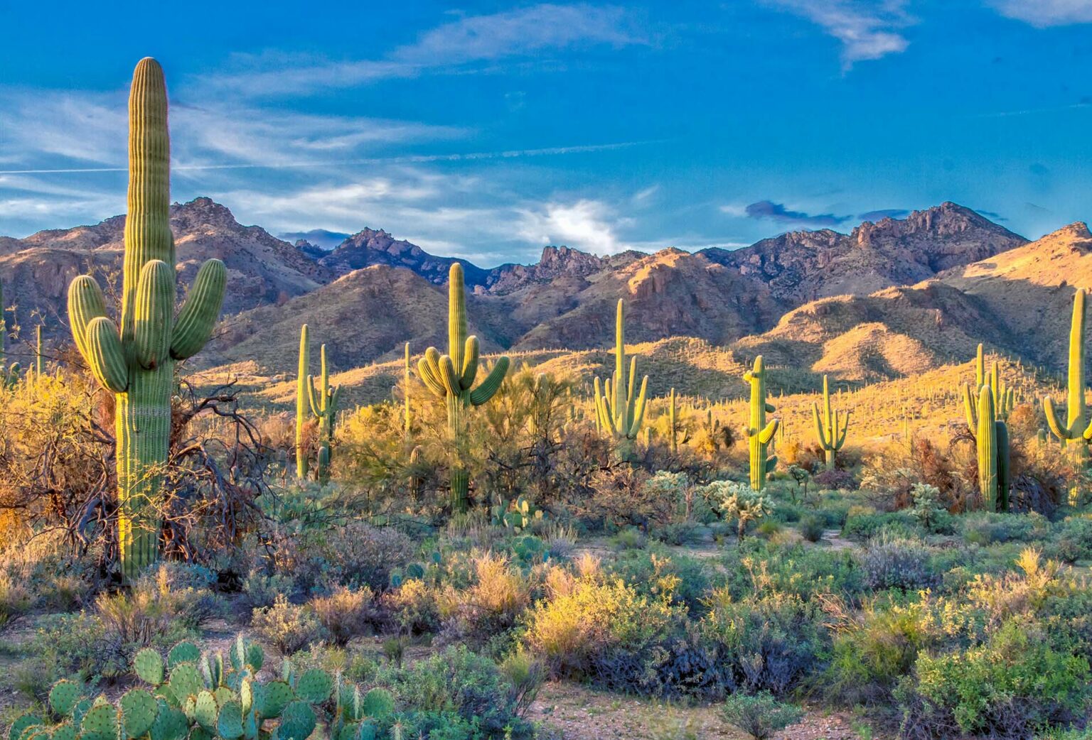 What Are Winters Like in Arizona?