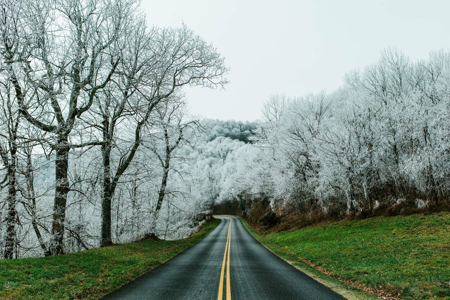 What Are Winters Like in North Carolina?